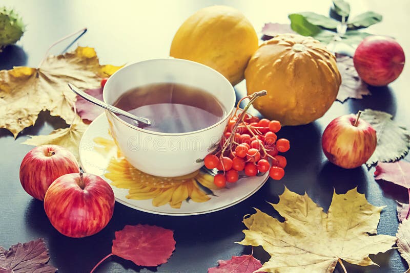 Cup of Tea, Autumn Leaves and Rowanberry Stock Photo - Image of fall ...