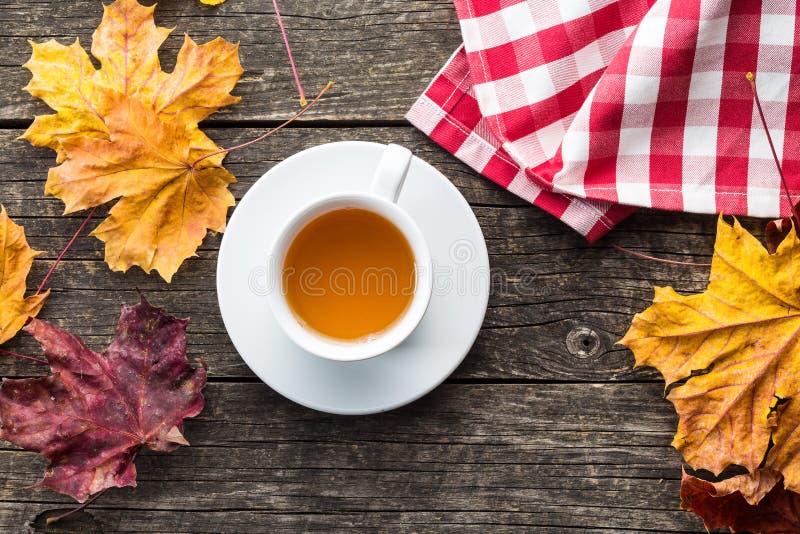 Cup of Tea with Autumn Leaves. Stock Photo - Image of overhead ...