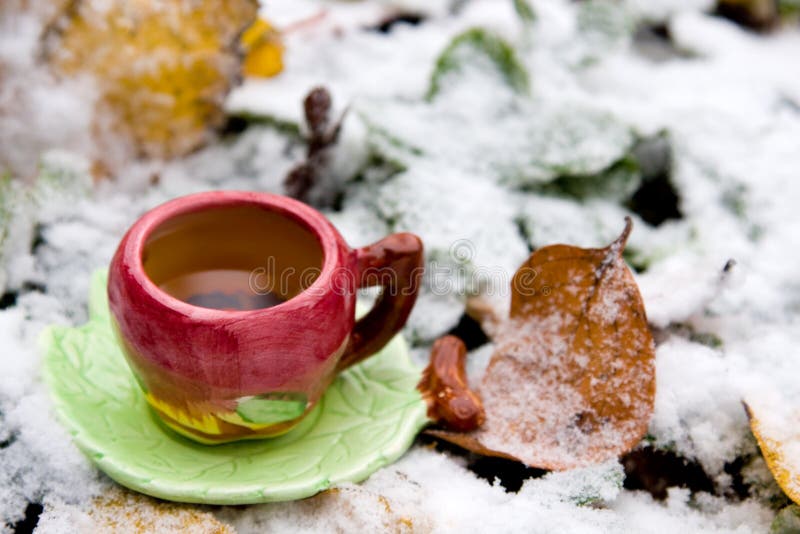 A Cup of Tea on Background of Snow-covered Leaves Stock Image - Image ...