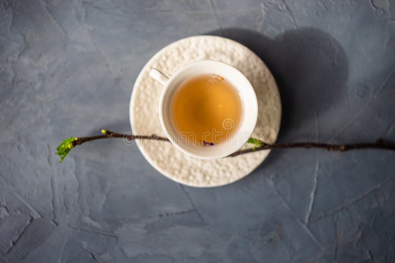 Cup of Tea and Blooming Tree Stock Image - Image of flora, green: 145999237