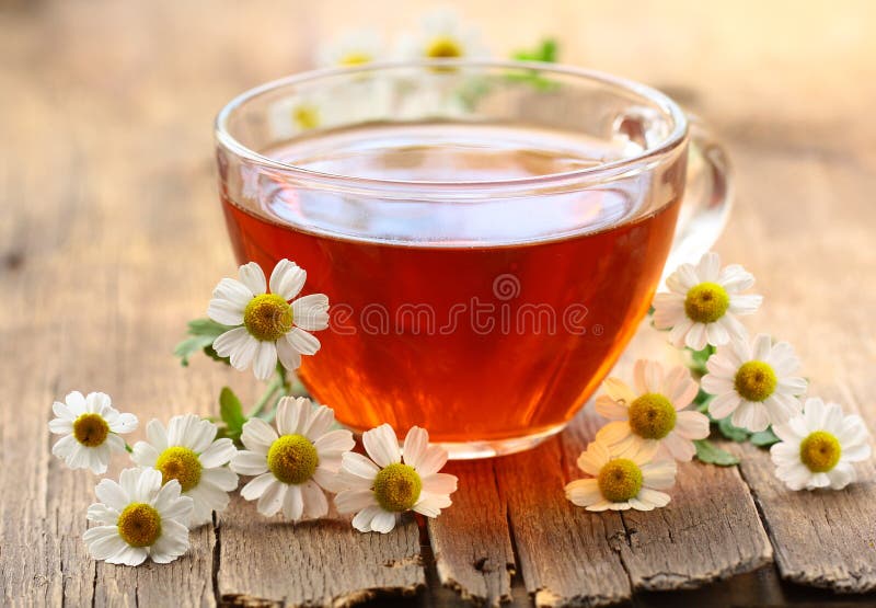 Chamomile tea stock photo. Image of natural, chamomile - 21719608