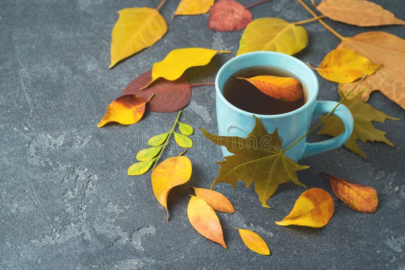 Cup of Tea and Fall Leaves on Blackboard Table. Autumn Concept Stock ...
