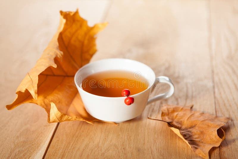 A Cup Of Tea With Falling Autumn Leaves Of Maple, And A Berries Of ...