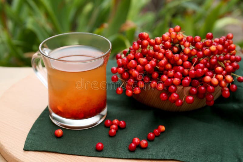 Cup of Tea and Fresh Ripe Viburnum Berries on Table Outdoors Stock ...