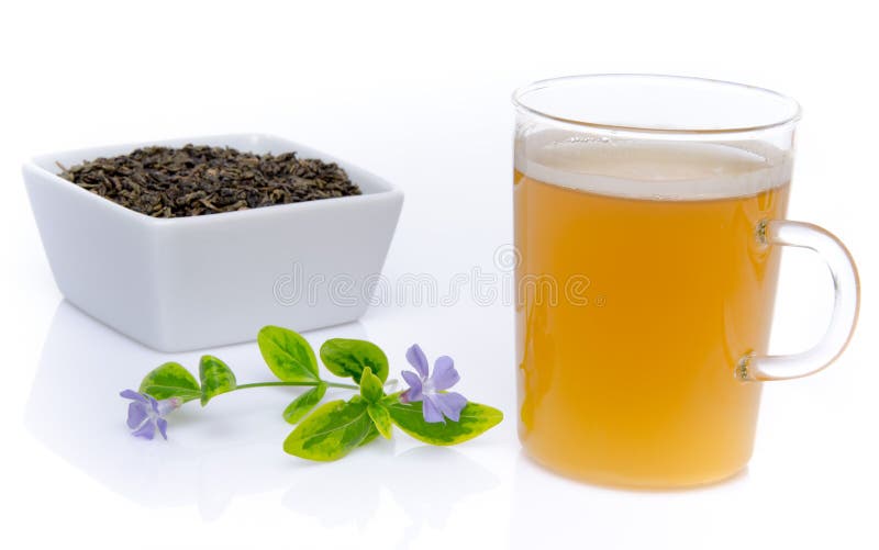Cup of Tea with Fresh Tea and a Flower Stock Photo - Image of aromatic ...