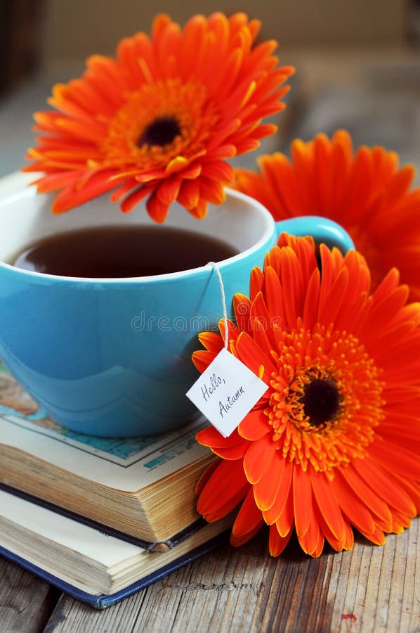 A Cup of Tea with Gerbera Flowers and Books Stock Image - Image of ...