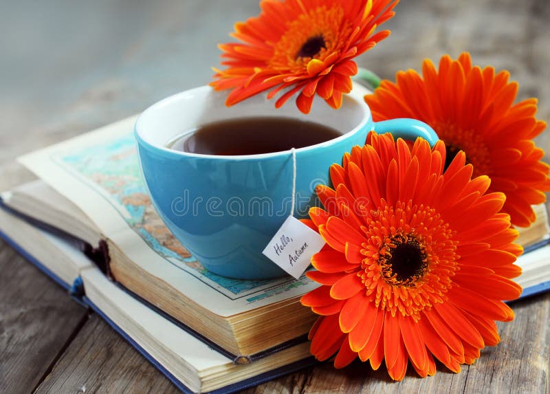 A Cup of Tea with Gerbera Flowers and Books Stock Image - Image of ...