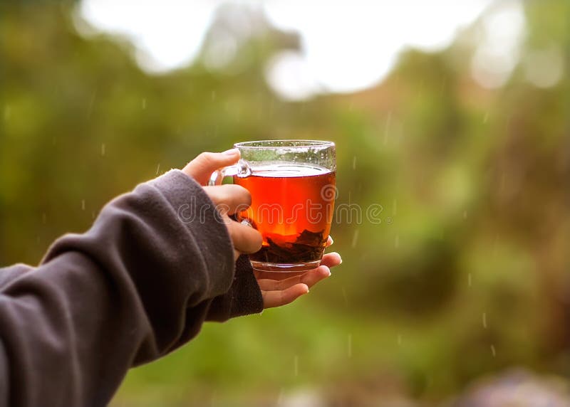 5,131 Rain Tea Photos - Free & Royalty-Free Stock Photos from Dreamstime