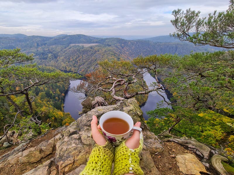 Cup Tea Landscape Wallpaper View Adventure Stock Photo - Image of ...