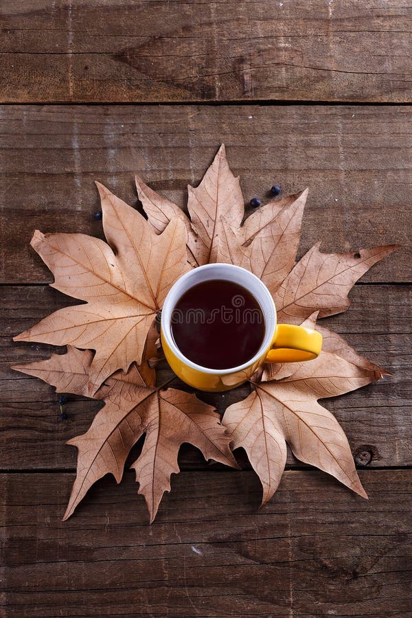 Cup of Tea and Leaves Over Rustic Wooden Background Stock Photo - Image ...