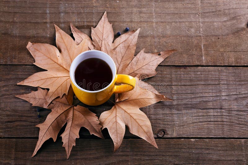 Cup of Tea and Leaves Over Rustic Wooden Background Stock Image - Image ...