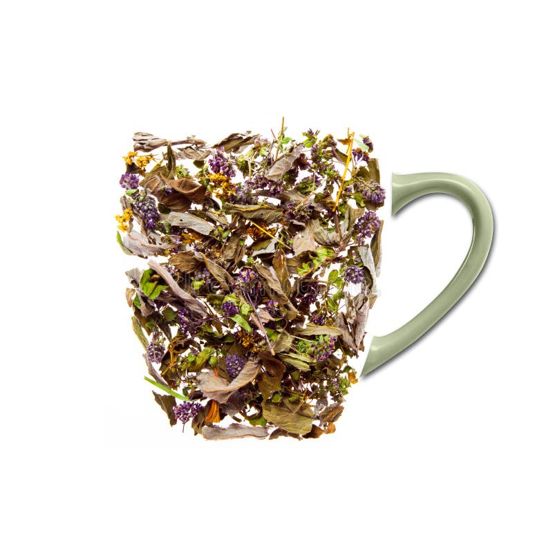 Cup of Tea Made from Real Tea Stock Photo - Image of pour, beverage ...