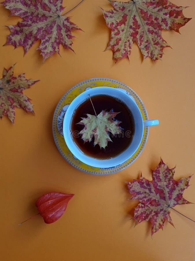 A Cup of Tea, Maple Leaves, Physalis Flower on an Orange Background ...
