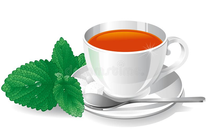 Cup of mint tea stock vector. Illustration of brown, healthy - 26578786