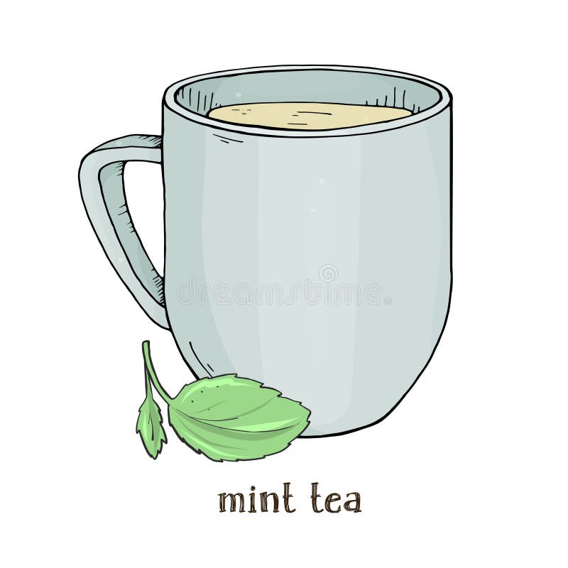 Hand Drawn Vector Sketch Of Healthy Green Tea Cup With Tea Leaves. Cup ...