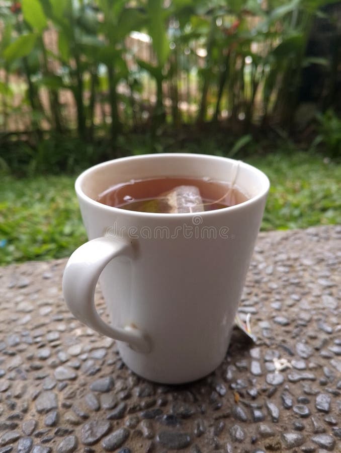 A cup of tea only one stock photo. Image of friend - 380091036