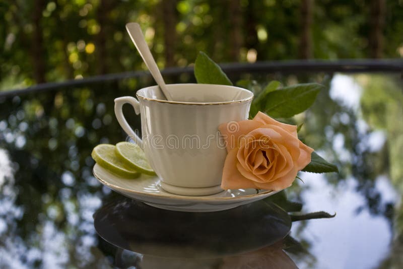 A Cup of Tea with Orange Rose Stock Photo - Image of copy, clear: 7615200