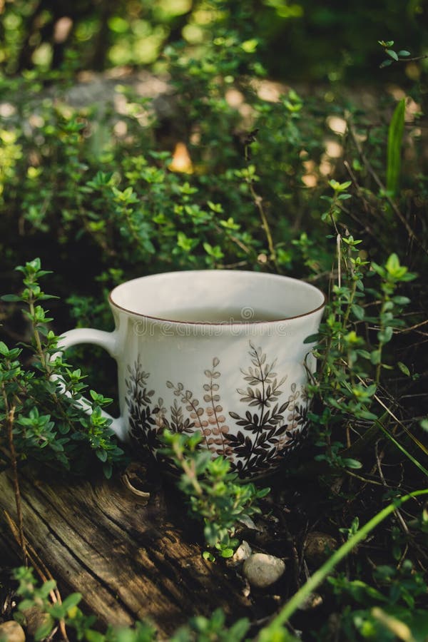 Cup of tea outside stock photo. Image of herbal, garden - 78941994