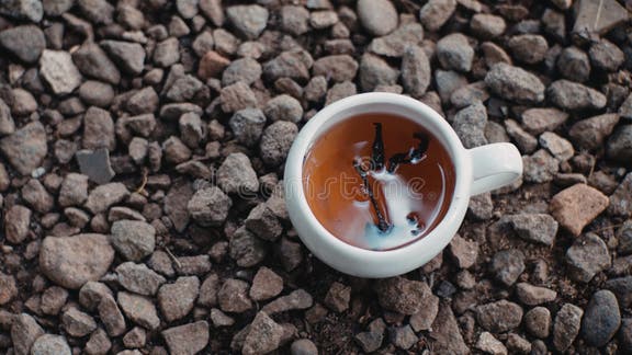 A cup of tea on a pebble stock photo. Image of plant - 206625784