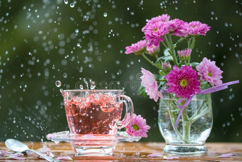 Still Life with Cup of Tea and Beautiful Pink Flowers Under the Rain ...