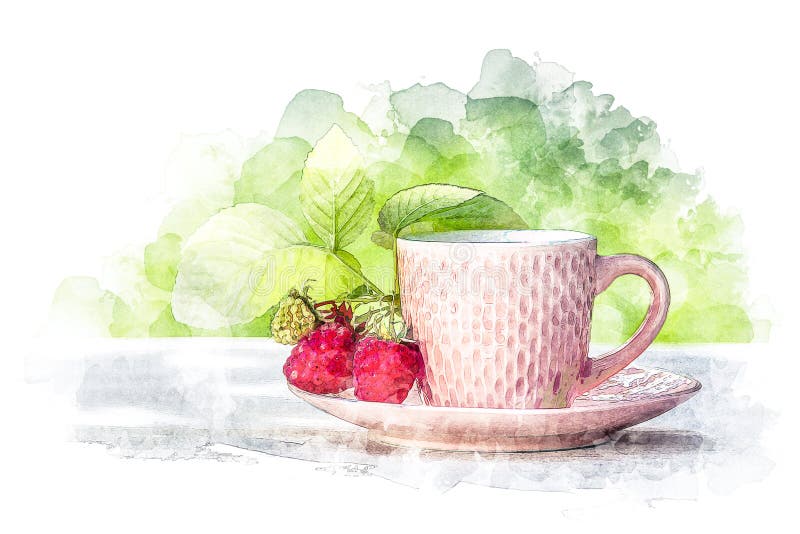 Cup of Tea and Raspberries, Digital Watercolor Stock Illustration ...