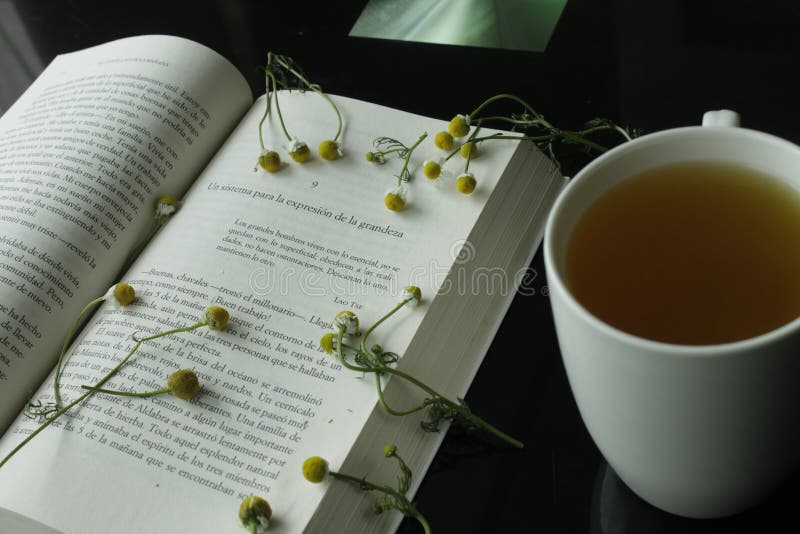 Cup of tea and a book stock photo. Image of reading - 257963538