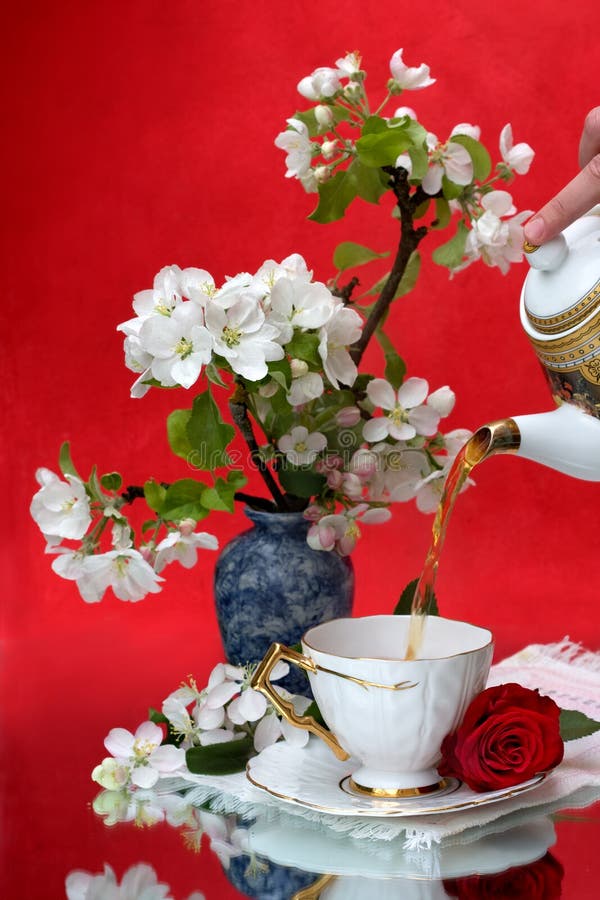Tea in a cup with a rose stock photo. Image of blossom - 16482204