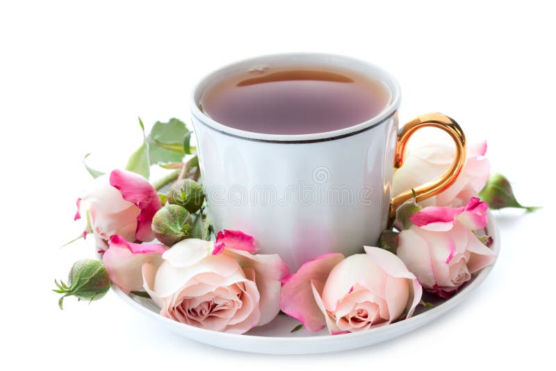 Cup Tea Roses Stock Photos - Download 4,129 Royalty Free Photos