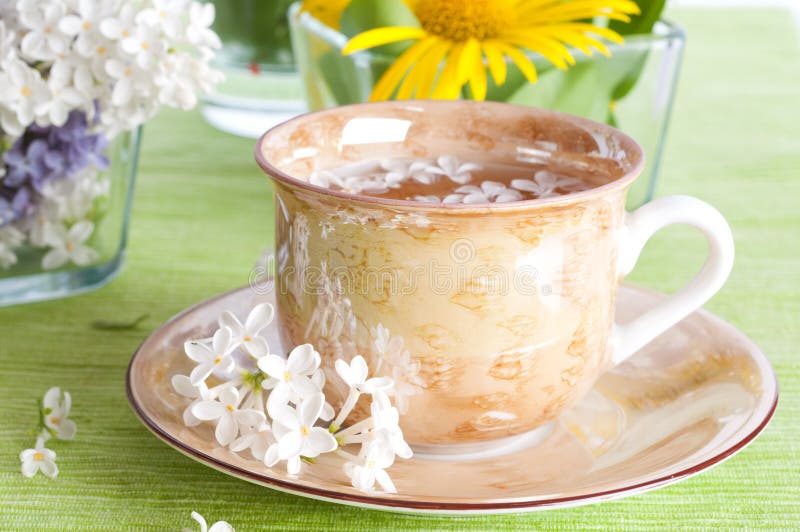 Cup of Tea and Spring Branch Stock Photo - Image of health, drink: 14354402