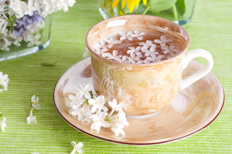 Cup of Tea and Spring Branch Stock Photo - Image of soothing, lilac ...