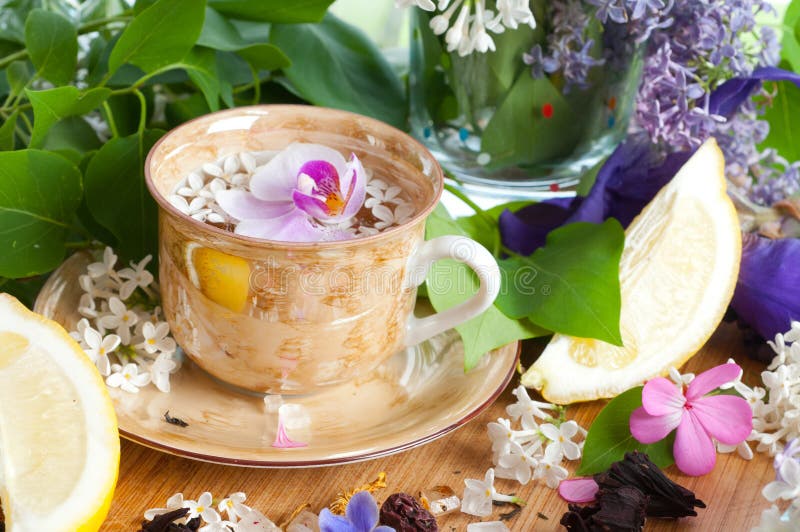 Summer tea time stock photo. Image of preserves, apricots - 17399778