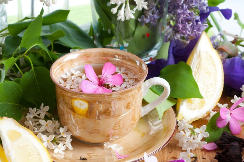 Cup of Tea and Spring Branch Stock Image - Image of refreshment ...