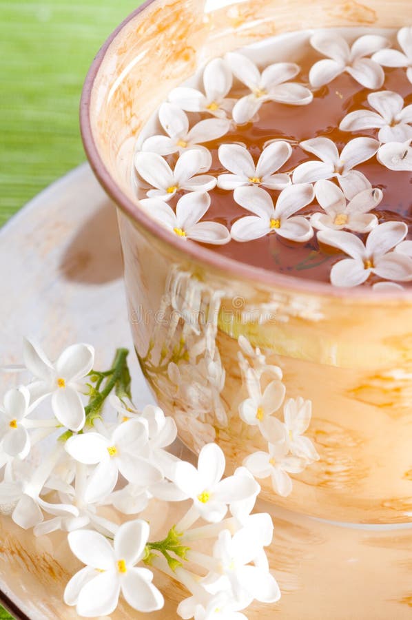 Cup of Tea and Spring Branch Stock Photo - Image of beverage, natural ...
