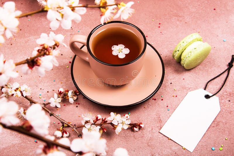 A Cup of Tea in the Spring Decoration. View from Above. Place for Text ...