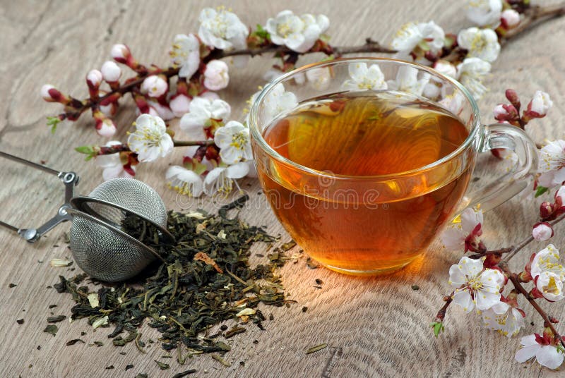Cup of Tea and Spring Flowers on a Wooden Table. Flowering Apricot ...