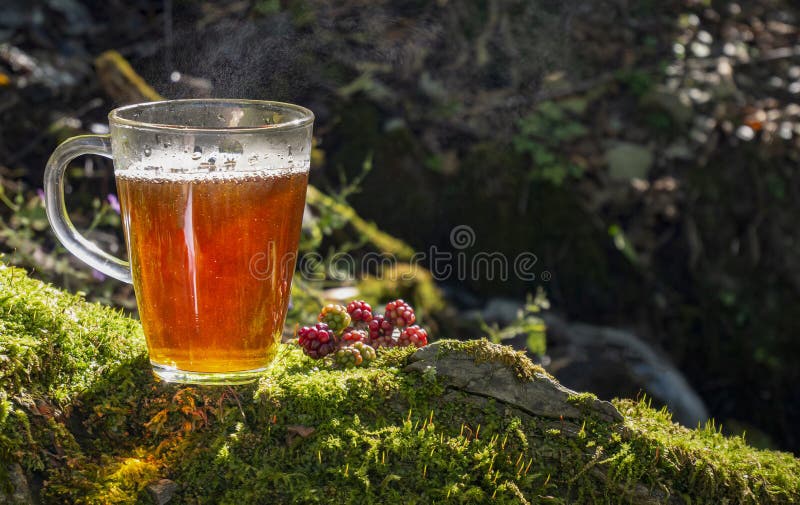 Cup of Tea on Stump in the Forest, Forest Ripe Wild Berry and White ...