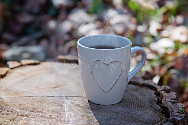 A cup of tea on a stump. stock photo. Image of blossom - 173027614