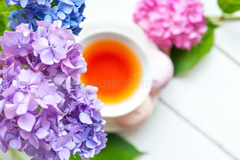 A Cup of Tea Surrounded by Hydrangea Flowers, with Pink Marshmallows ...