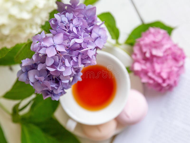 A Cup of Tea Surrounded by Hydrangea Flowers, with Pink Marshmallows ...