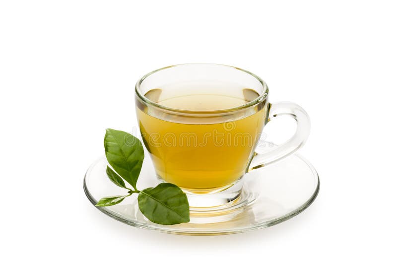 Cup of tea stock photo. Image of warm, green, natural - 115127972