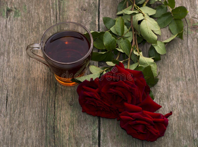 Cup Tea Three Red Beautiful Roses Stock Photos - Free & Royalty-Free ...