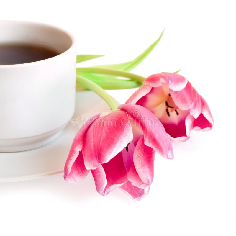 Cup of tea and tulip stock image. Image of closeup, aromatic - 18164495