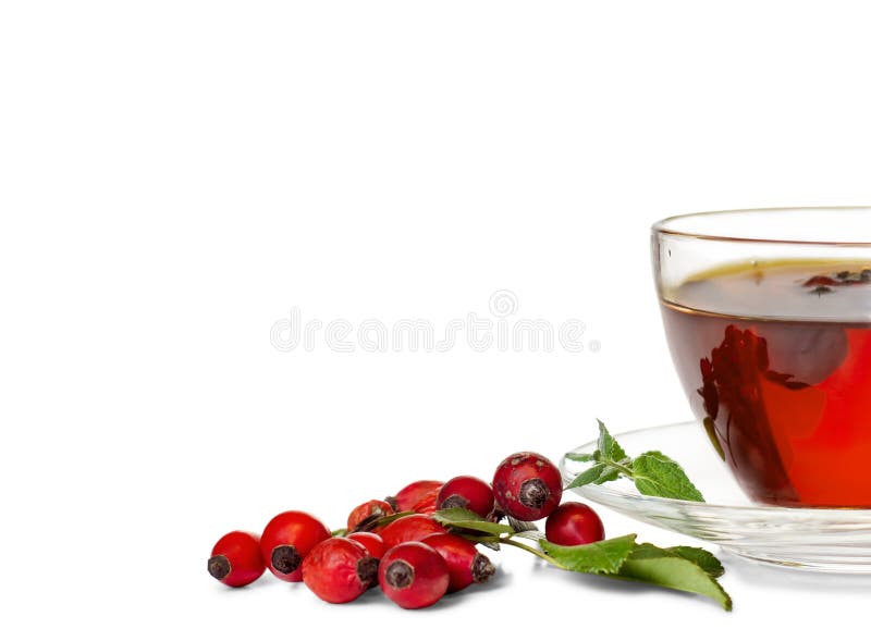 Cup of Tea with Wild Rose Isolated on White Background Stock Image ...