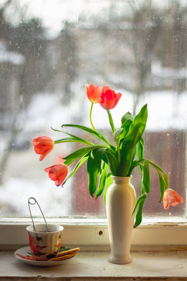 A Cup of Tea on the Windowsill and Flowers Stock Image - Image of ...