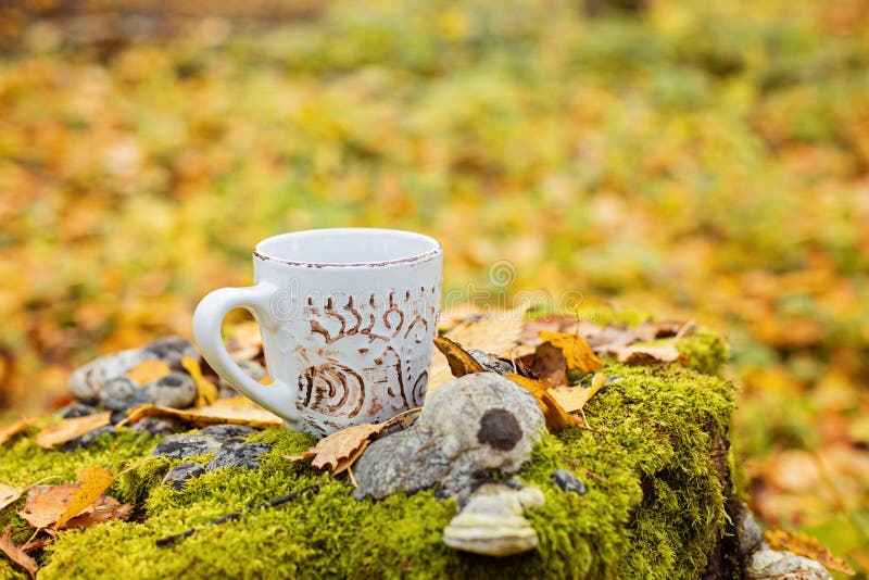 Cup of Tea on Yellow Foliage. Walk in the Autumn Forest Stock Image ...