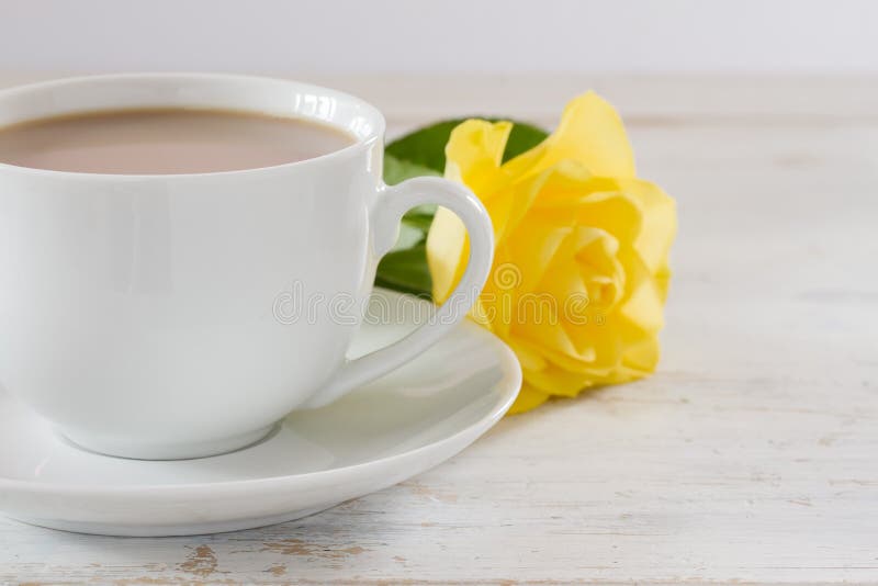 Cup of Tea with a Yellow Rose Stock Image - Image of fashioned, healthy ...