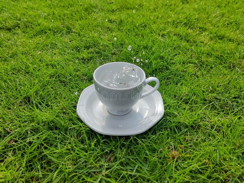 Cup of water , drops stock image. Image of circle, garden - 245917613