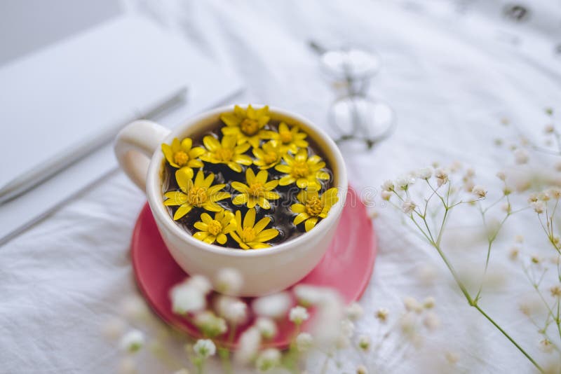 Cup with Yellow Flowers on a White Bed Stock Photo - Image of plant ...