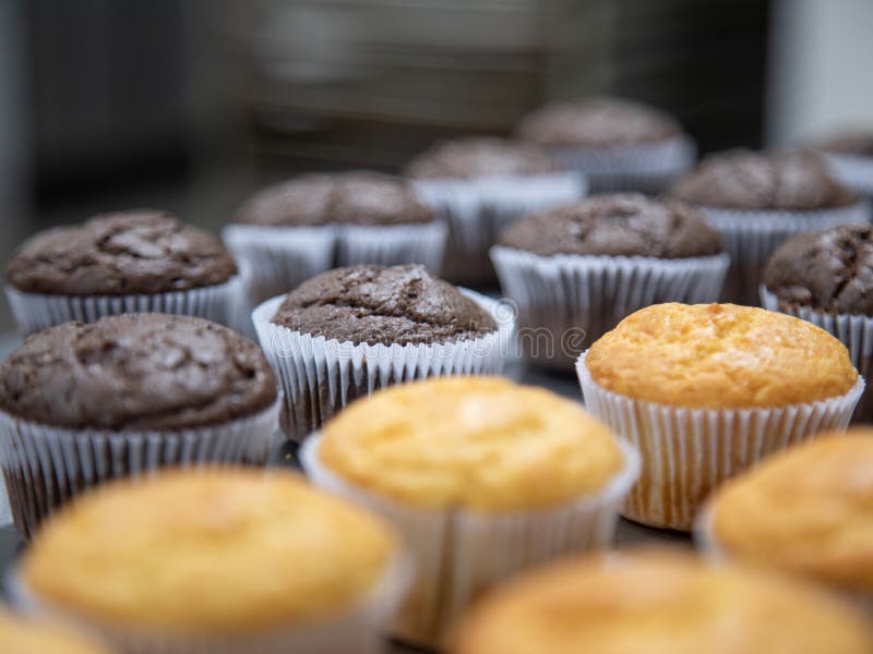 Cupcake Production Inside the Bakery Stock Photo - Image of decorated ...