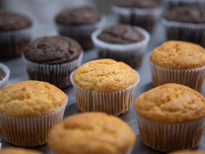 Cupcake Production Inside the Bakery Stock Photo - Image of cake, food ...